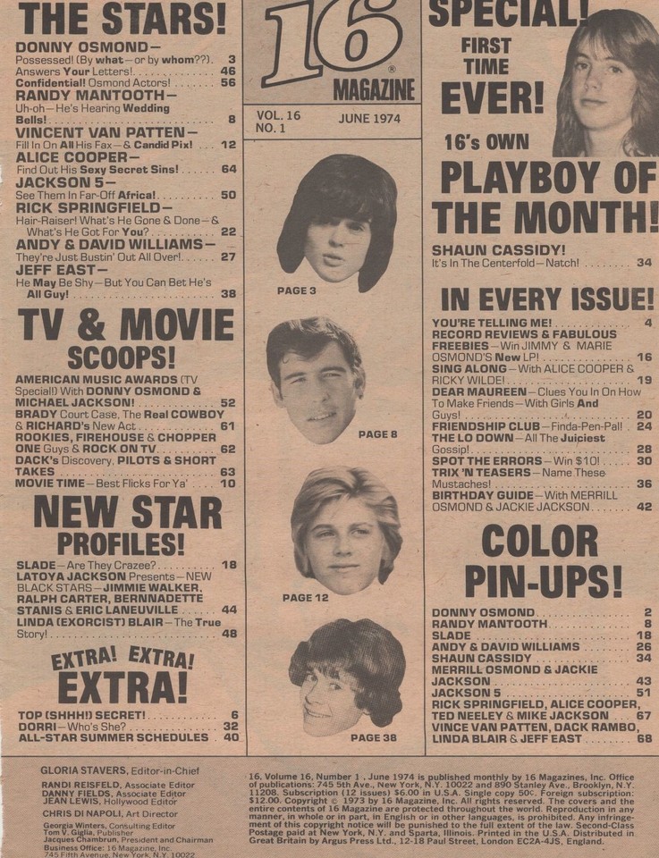 Randy Mantooth artist drawn pinup Shaun Cassidy Jeff East Vincent Van ...