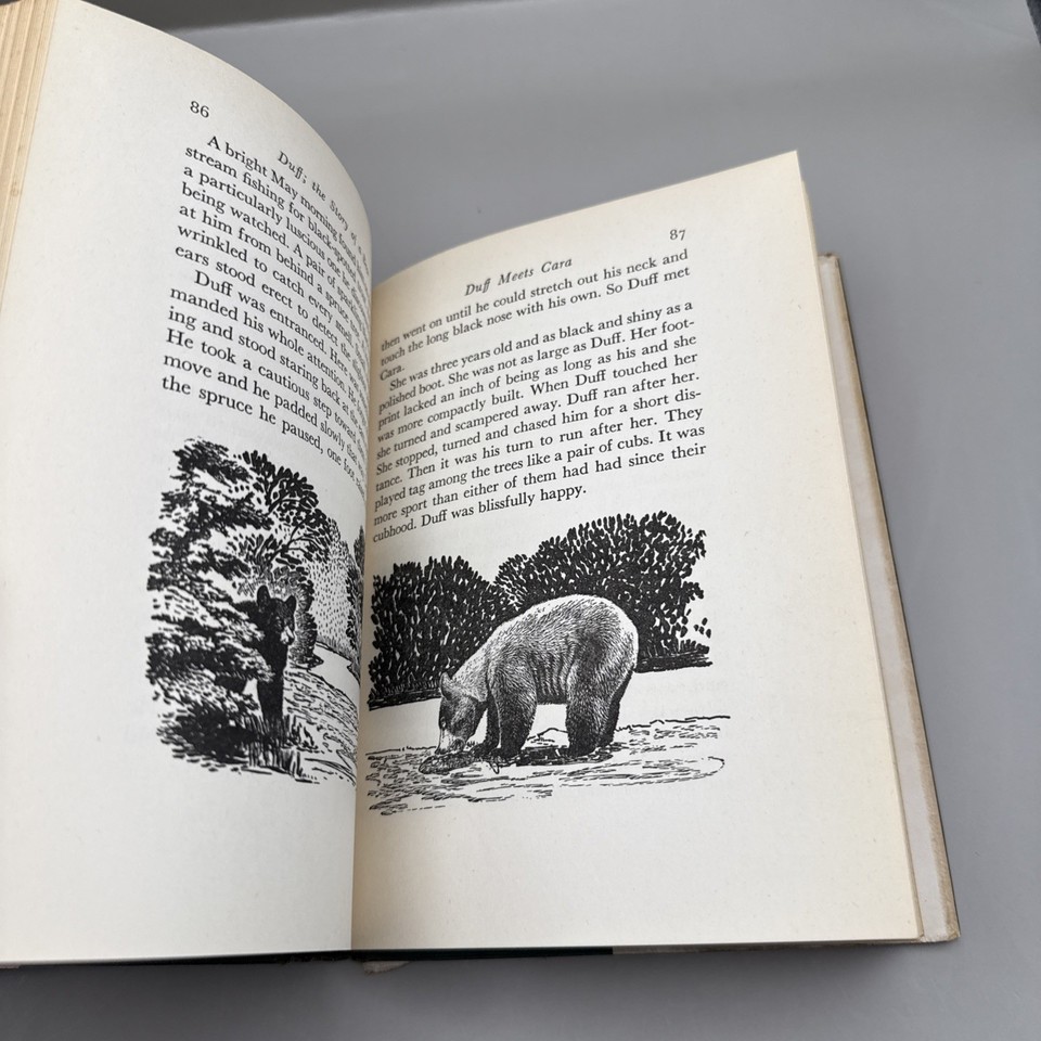 Duff the Story of a Bear William Marshall Rush 1950 HC Illustrated ...
