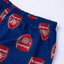 Arsenal F.C Boys Short Pyjamas, Summer Football Pjs, Official ...