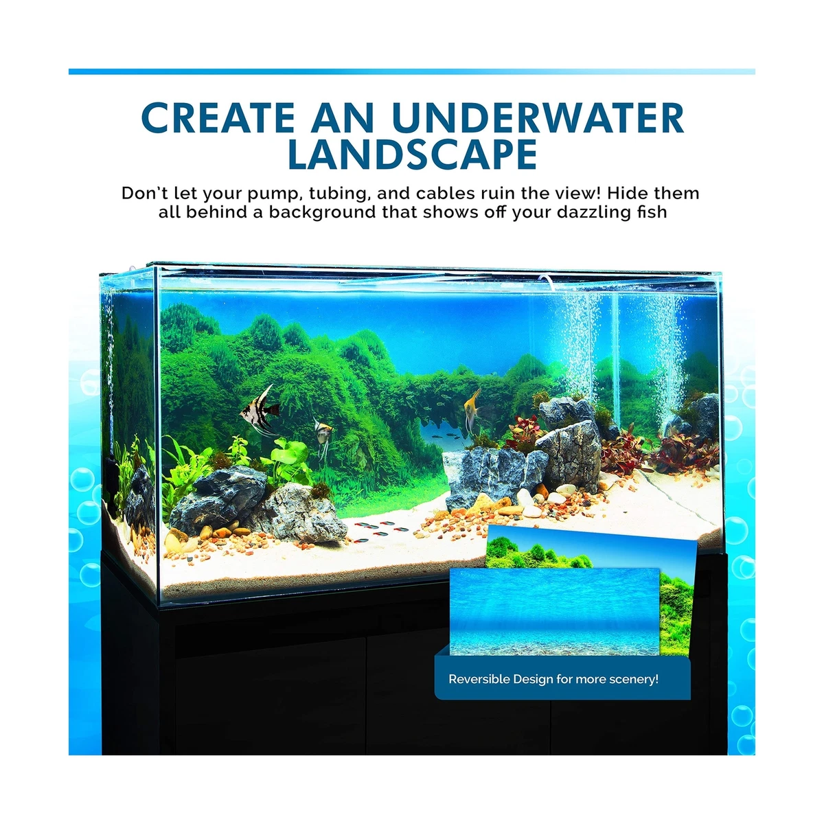 Aquarium Vinyl Background