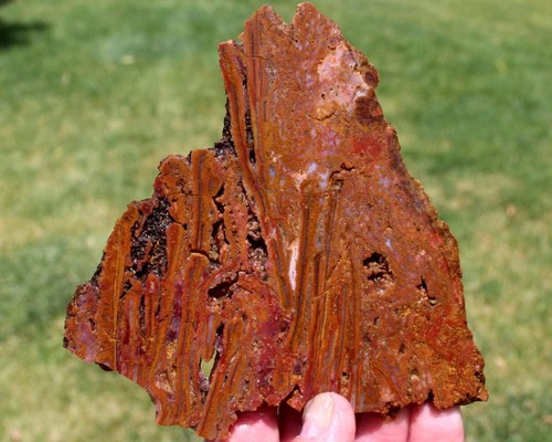 "NEW" SUMATRAN FLAME AGATE/JASPER SLAB 170 Gram rock/mineral/rough/cab ...