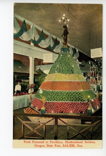 Fruit Pyramid—Oregon State Fair—Salem OR Rare Antique Agricultural ...