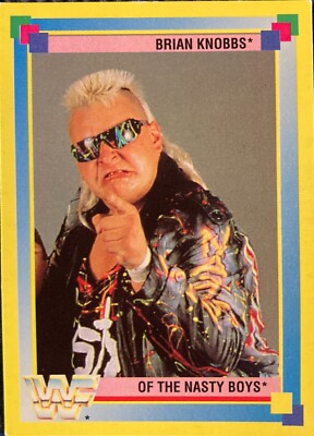 Wrestling Trading Card Sammelkarte WWF Brian Knobbs The Nasty Boys 162/ ...