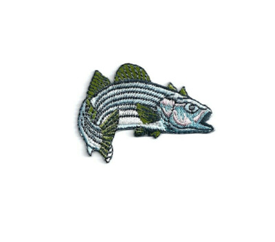 Fishing - Striped Bass - Sports - Fish - Embroidered Iron On Patch ...