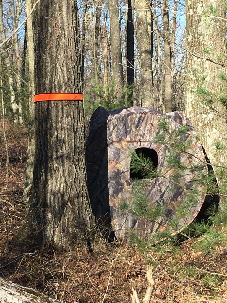 Orange Tree Band / Chest Band / Hunting Safety Band | eBay