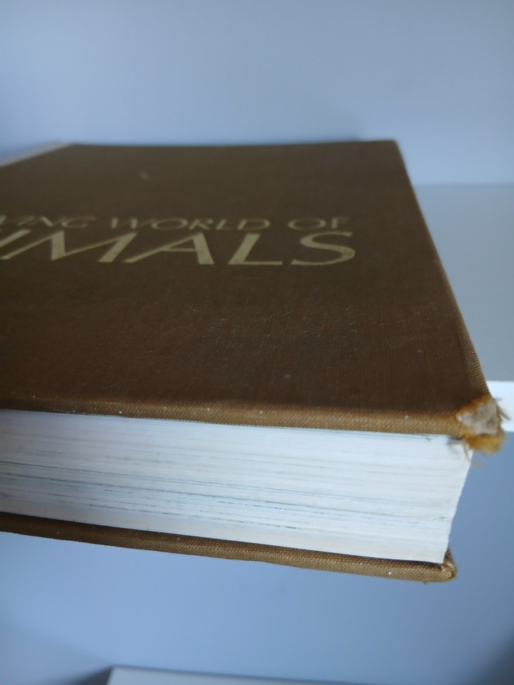 The Living World of Animals Reader's Digest, 1970 First Edition | eBay UK