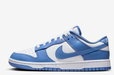 Brand NEW SKY Blue Dunks Mens SIZE 10 | eBay