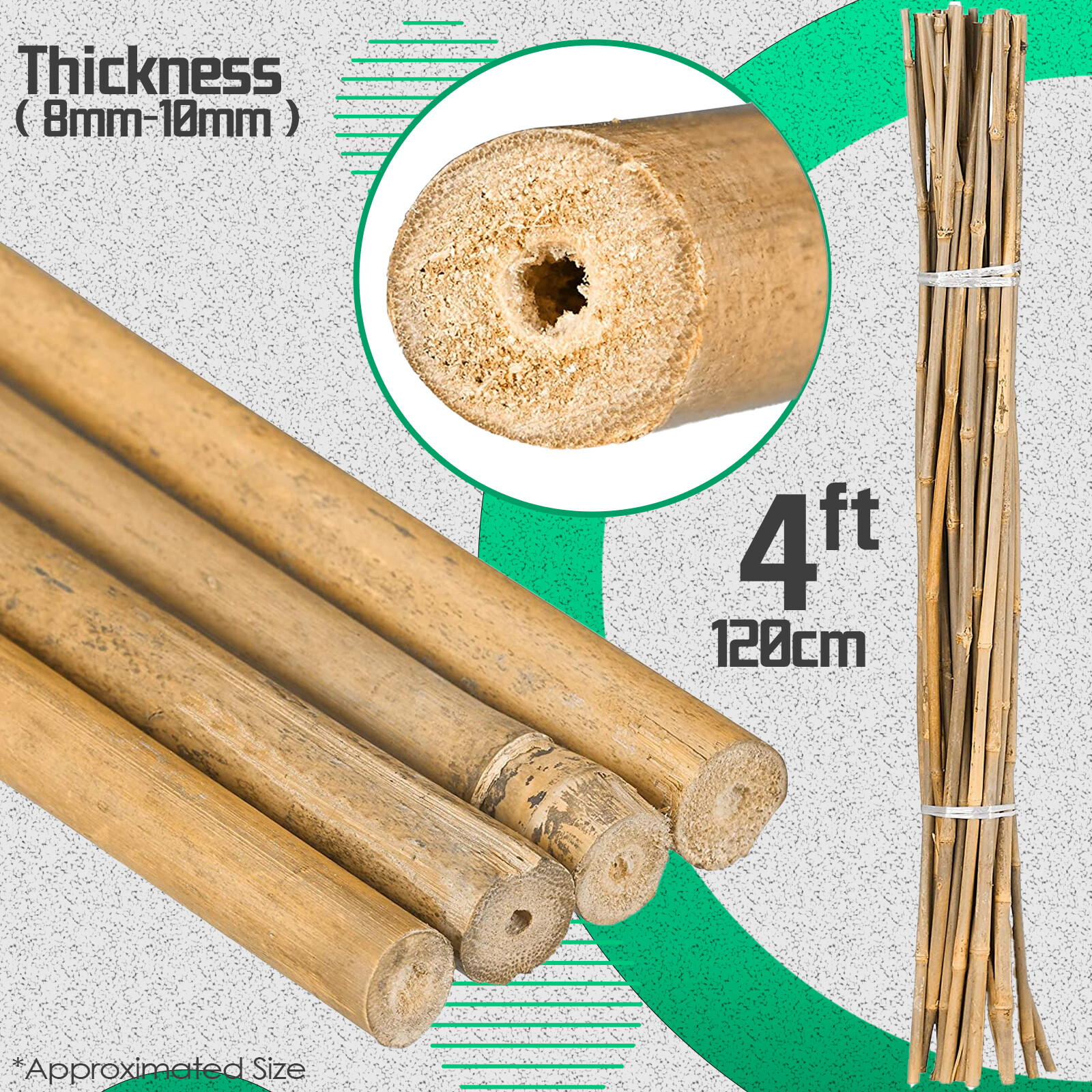 2FT-8FT Heavy Duty Professional Plant Support Garden Canes Strong ...