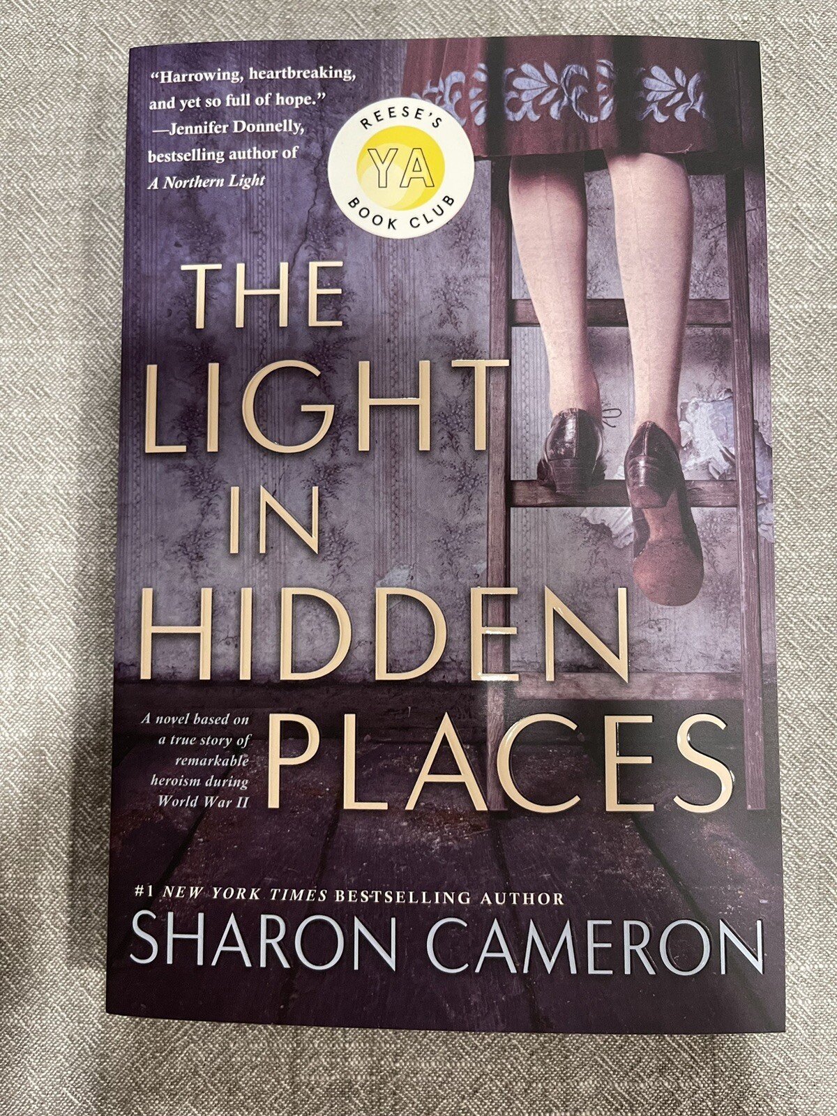 Light in Hidden Places by Sharon Cameron (2021, Trade Paperback) for ...