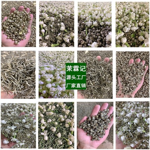 Jasmine Flower Tea Jasmine Jade Snail King Strong Aroma Durable Jade ...