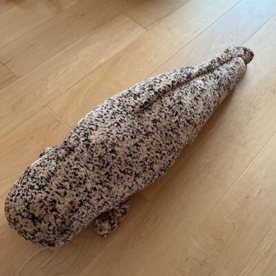 Giant salamander Plush LL size japan Kyoto Aquarium | eBay