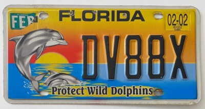 Florida 2002 PROTECT WILD DOLPHINS GRAPHIC License Plate # DV88X | eBay