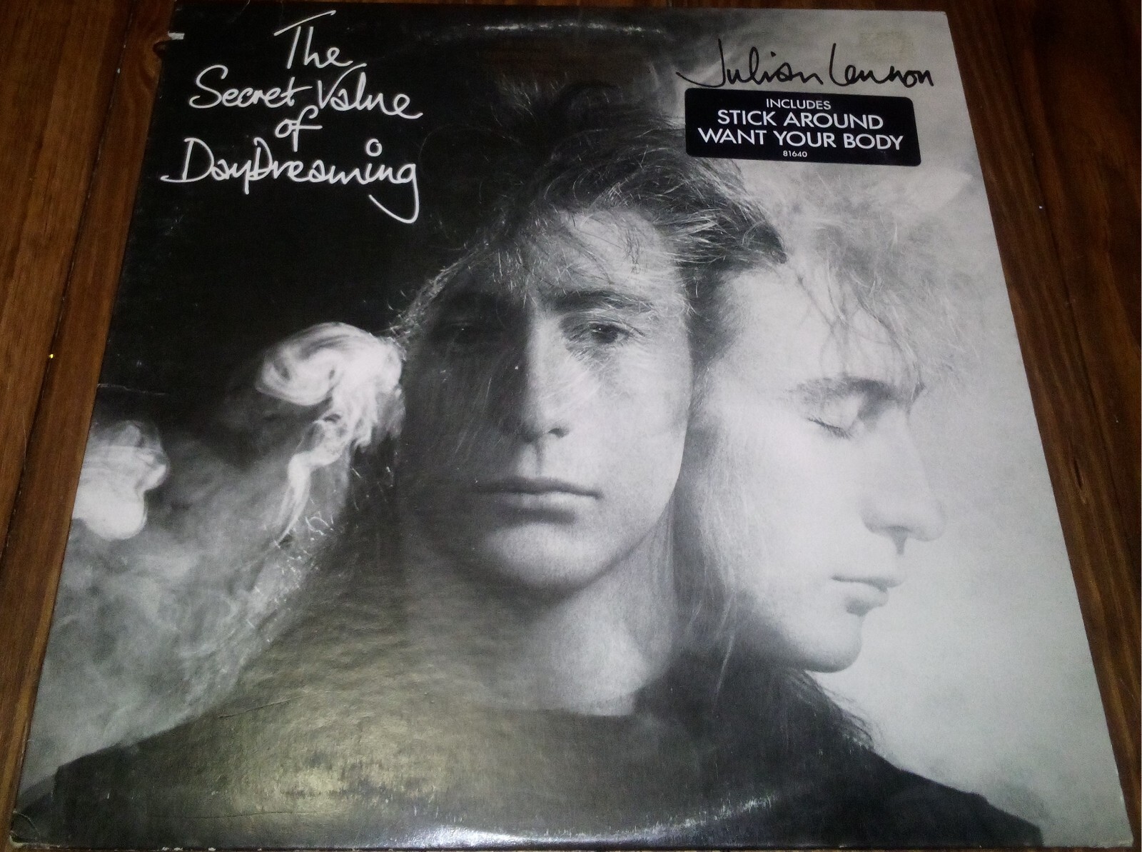 Julian Lennon The Secret Value of Daydreaming Promo Hype Saw Cut ...