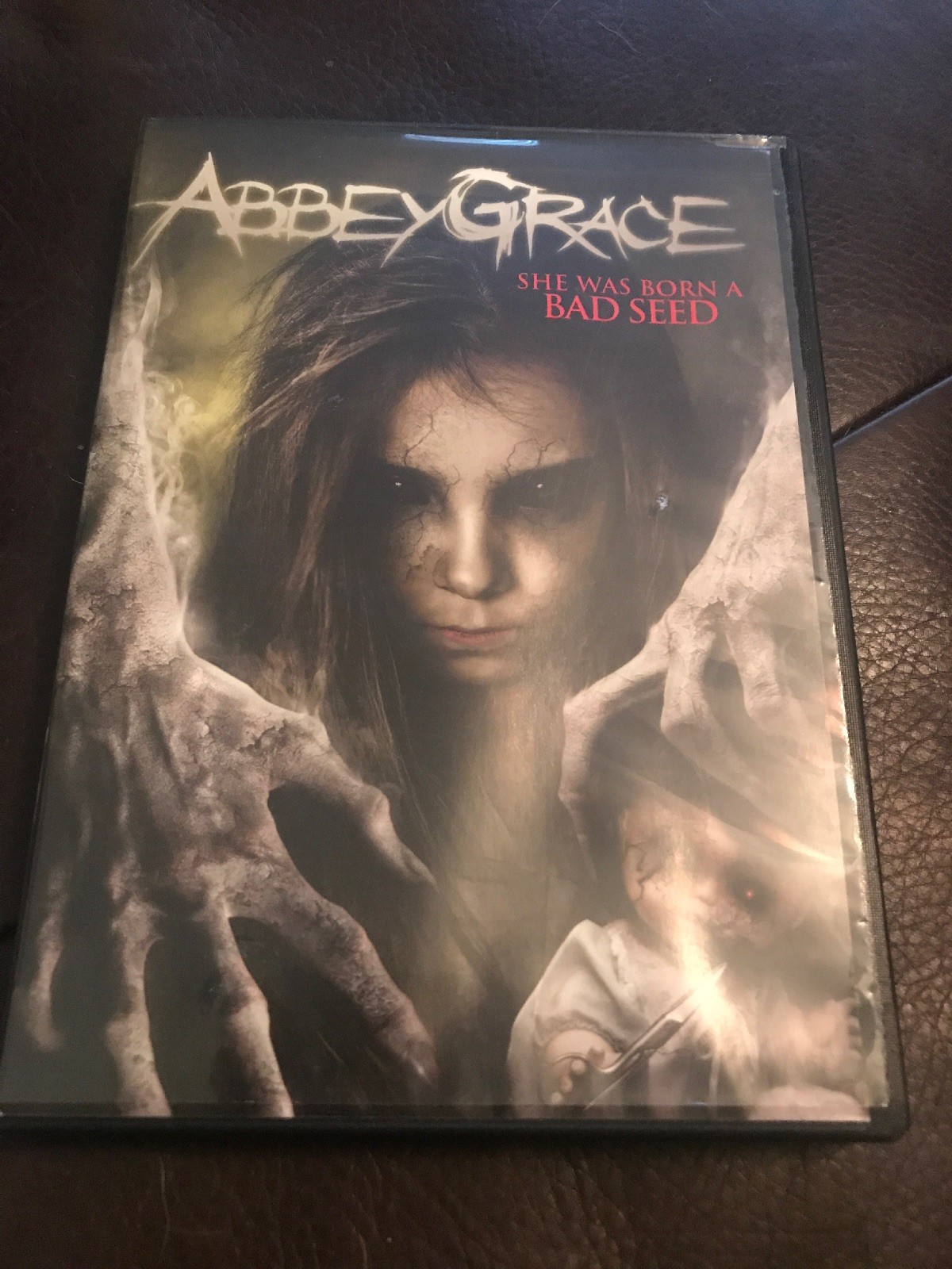 Abbey Grace Debbie Sheridan Jacob Hobbs Amber Gallaway (DVD, 2016) WS | eBay