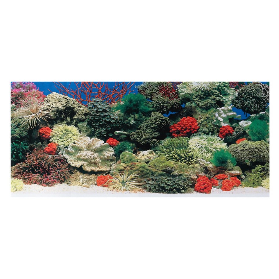 42 Cm Aquarium Background Painting Fish Tank Sticker Backdrop Decor ...