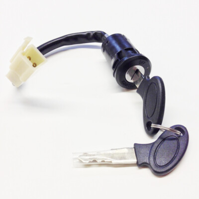 TrailMaster Mini XRX-R Ignition Key Switch | eBay