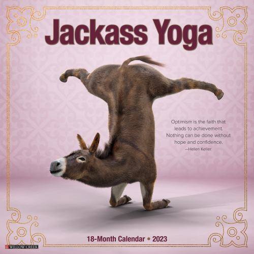 Jackass Yoga 2023 Wall Calendar by Willow Creek Press (2022, Calendar ...