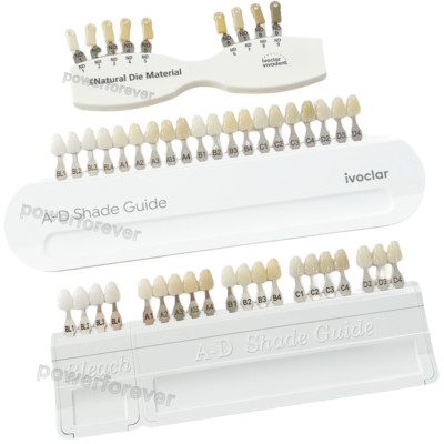 lvoclar Vivadent Dental Shade Guide A-D Natural Die Porcelain Teeth 9/ ...