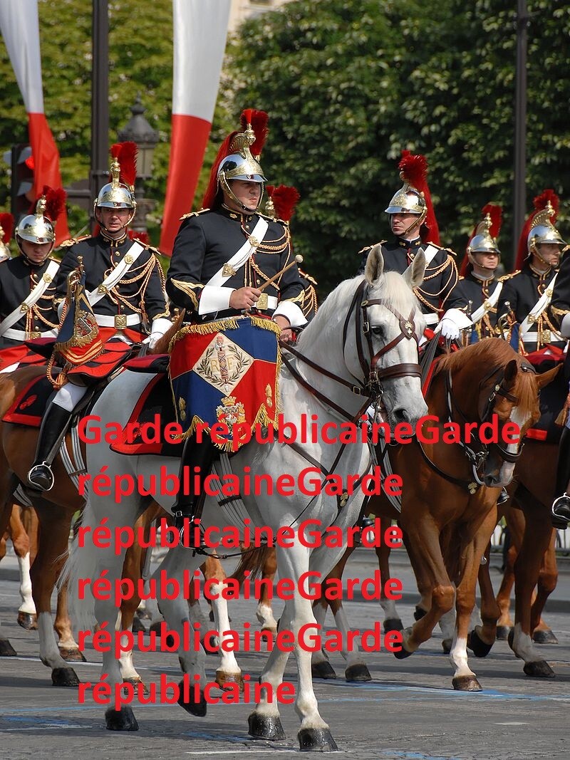 Garde républicaine gendarmerie BRI GIGN GIPN Paris veste casque CRS ...
