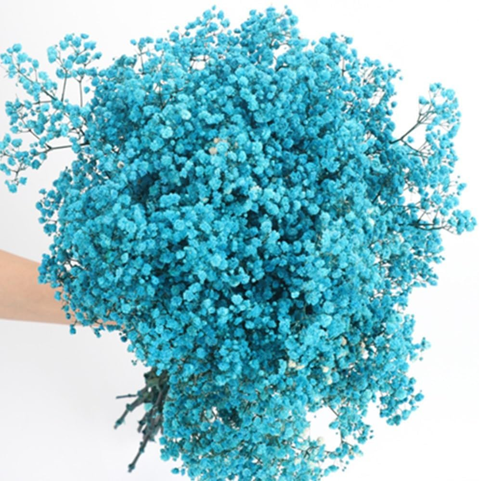 17.2 Inch Dried Flowers Baby'S Breath Bouquet - 2500+ Dry Flowers ...