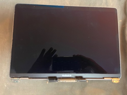 OEM Apple MacBook Air 13" LCD Screen Display Assembly GRAY A1932 2019 ...