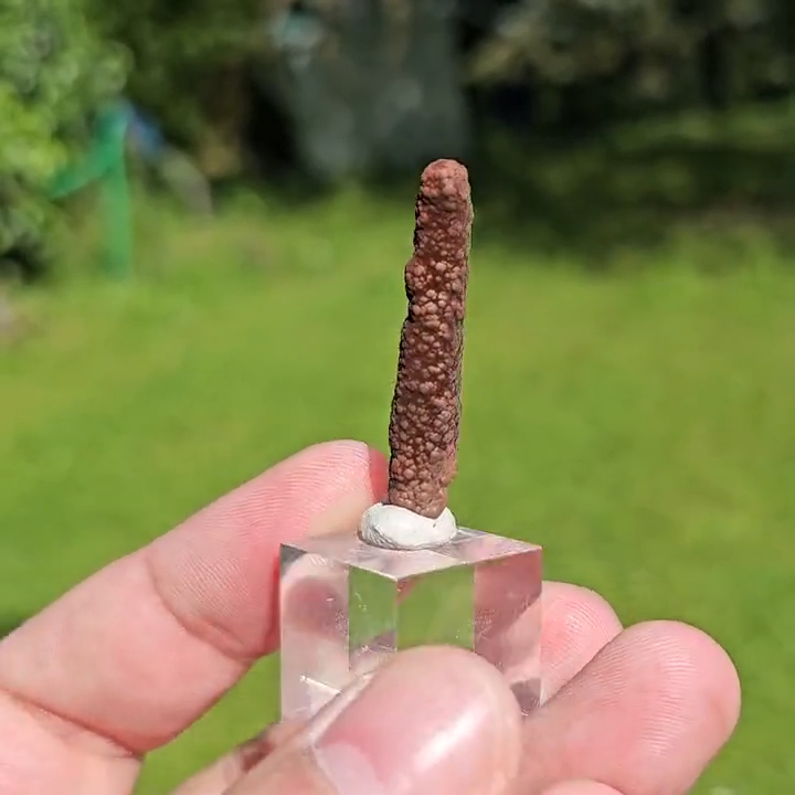 Goethite 5 grams - Mont-Roc Mine, Mont-Roc, Castres, Tarn, Occitanie ...