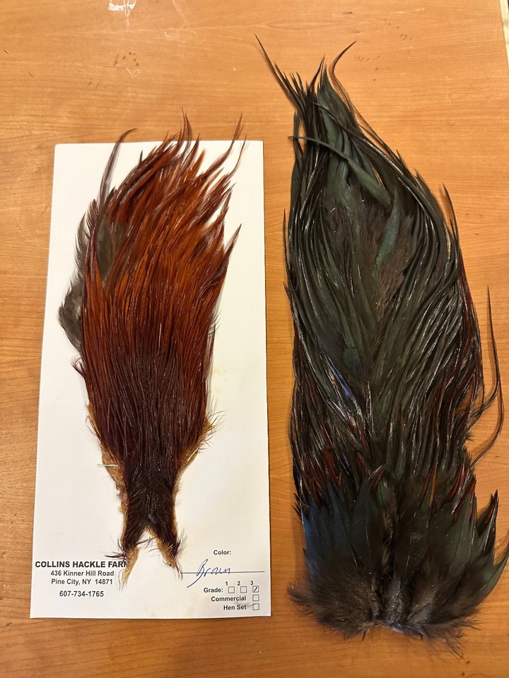 Collins Hackle Cape And Saddle | eBay