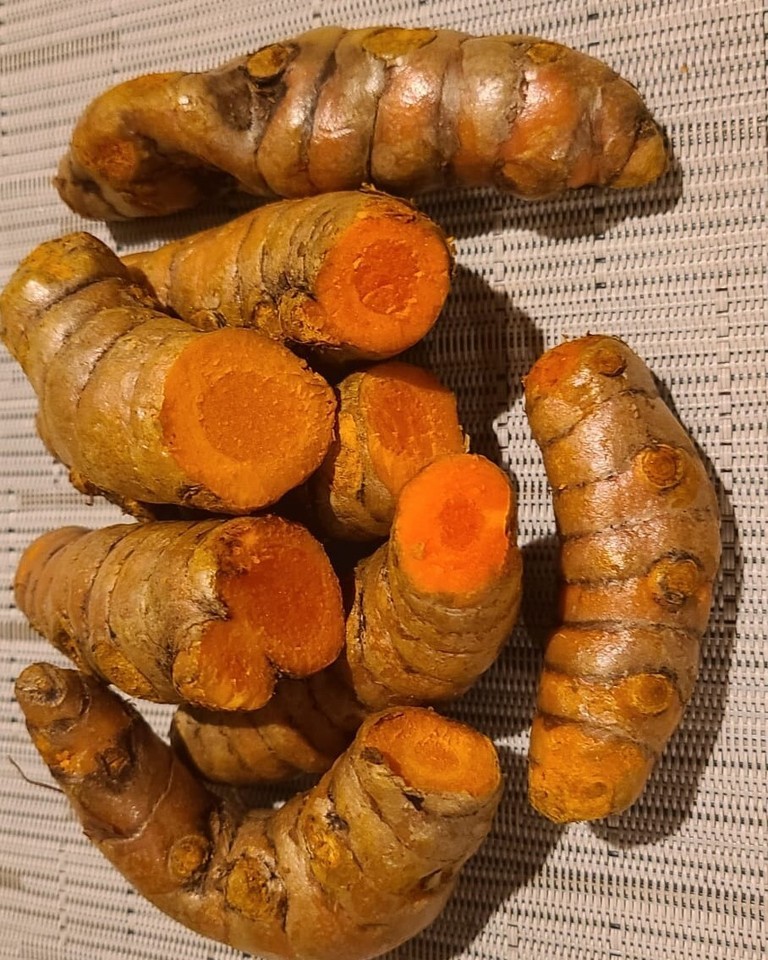 Fresh Organic Yellow Turmeric Root. 14 - ounces package -Free Shipping ...