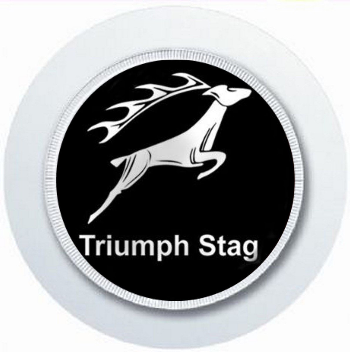 Stag Car Logo Triumph Stag Text Logo St Chris Car Badge + Fixings