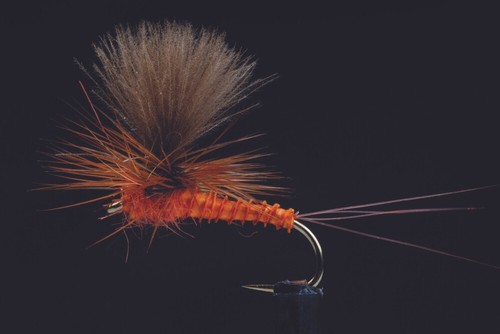 Manic Tackle Project Quill Spinner Dry Fly Rusty #14 | eBay