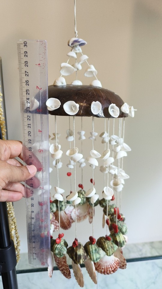 Beautiful Seashells Coconut Shell Hanging Spiral Dangling Windchimes ...