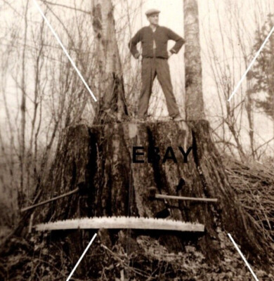 OOAK 1930s Snapshot Photo Man Giant Tree Stump Saw 2 Axes Logging ...