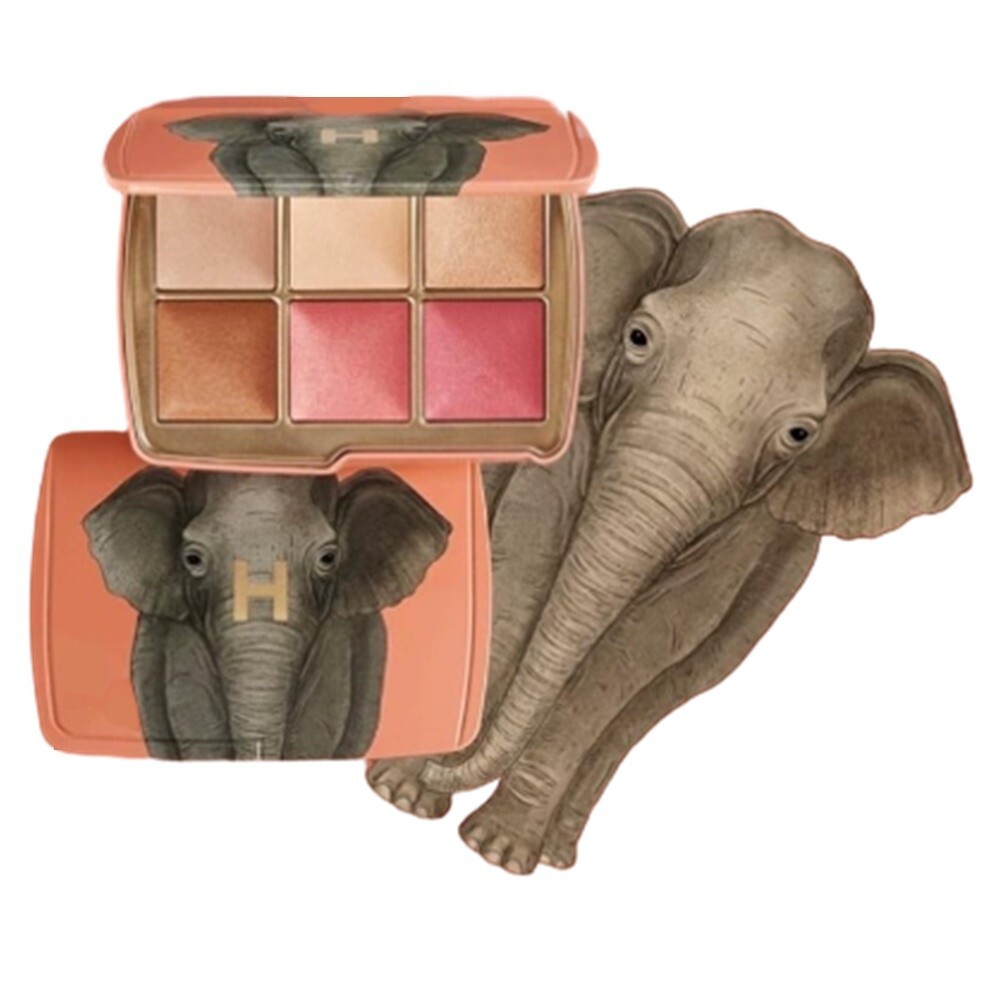 Elephant Face Makeup