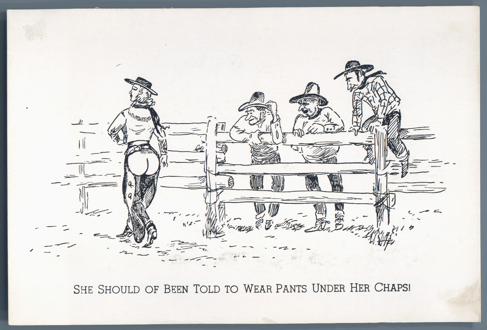 Postcard She Should of Been Told To Wear Pants Under Her Chaps W.M ...