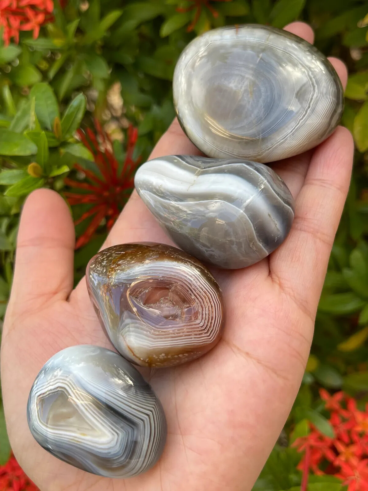 Grade A++ Botswana Agate Pebble, Botswana Agate Palm Stones, Wholesale ...