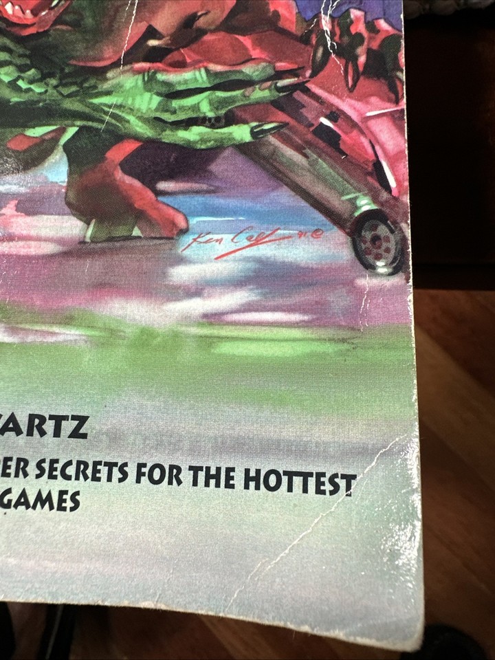THE BIG BOOK OF NINTENDO GAMES by Steven Schwartz 1991 | eBay
