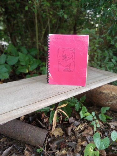 The Treasures of Known Aim Authorized Revised 3rd Edition Treasure Hunt ...