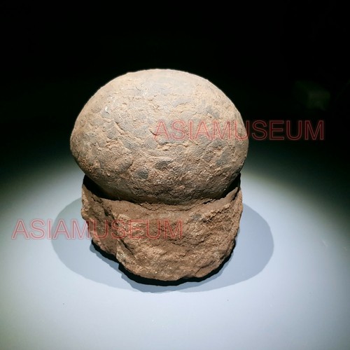 Dinosaure Oeuf Hadrosaur Nid Dendrolithus Fossile Jurassique Monde ...