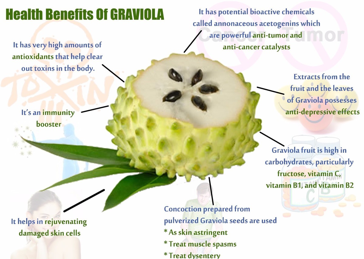 Guanabana Health Benefits 2 Pack) Soursop Graviola Liquid Drops