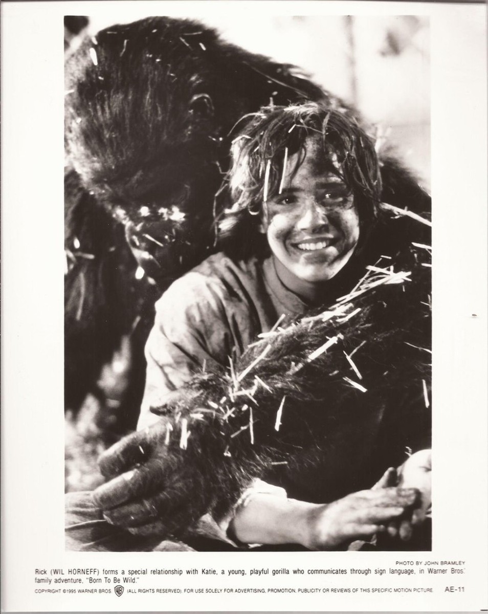 Wil Horneff 2013 Wil Horneff Pictures | Rotten Tomatoes