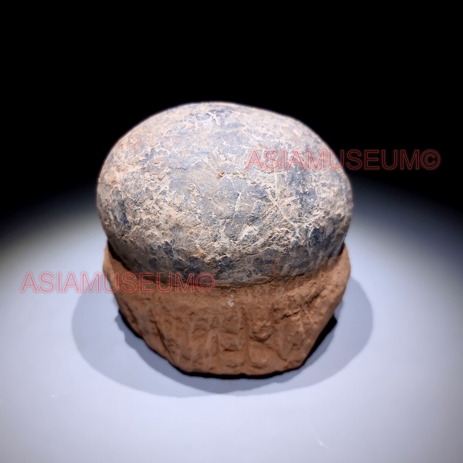 Dinosaure Oeuf Hadrosaur Dendrolithus Fossile Parc Jurassique Monde ...