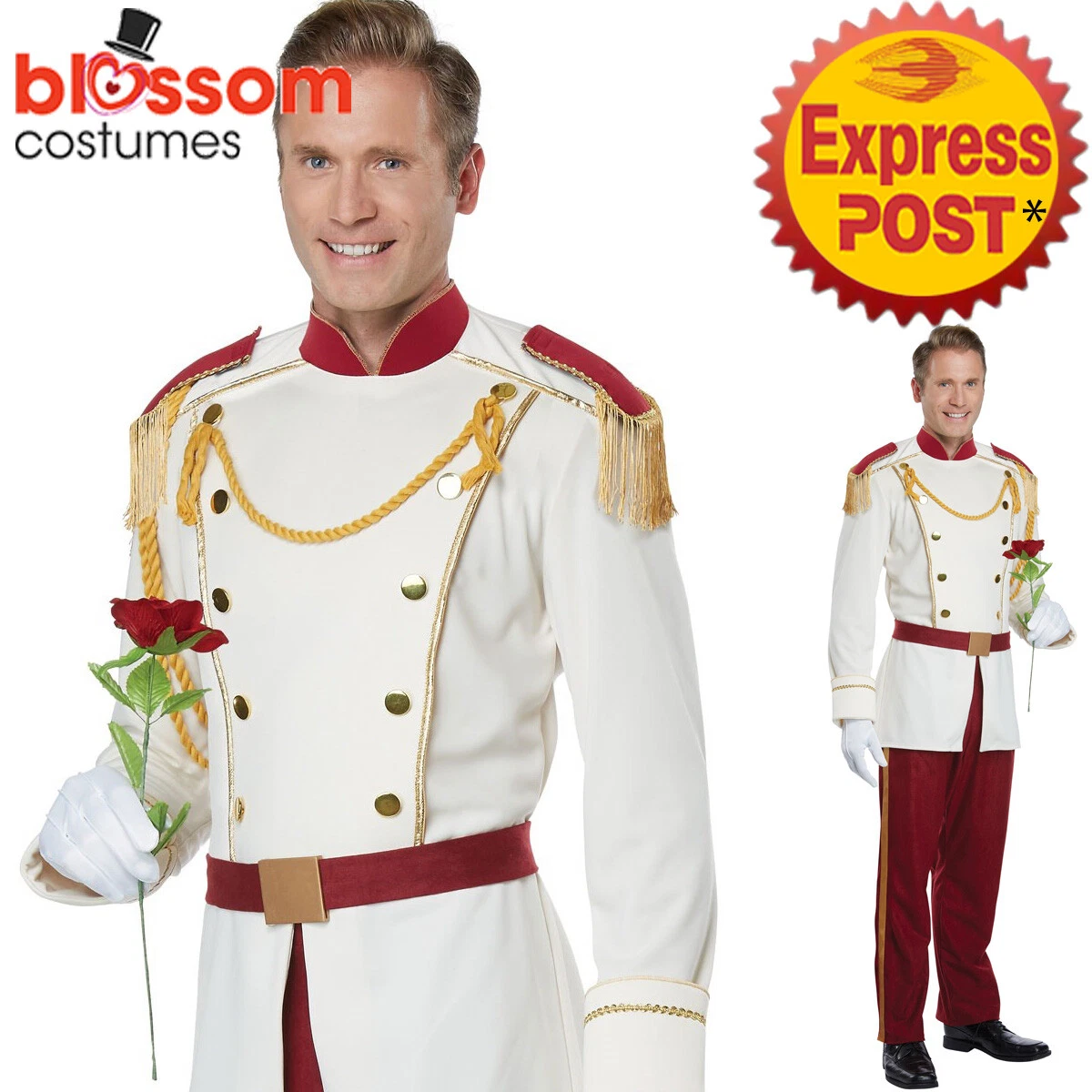 Prince Charming Costumes For Men