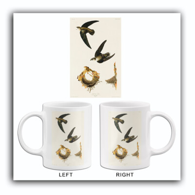 American Swift - 1827 - Illustration Mug | eBay