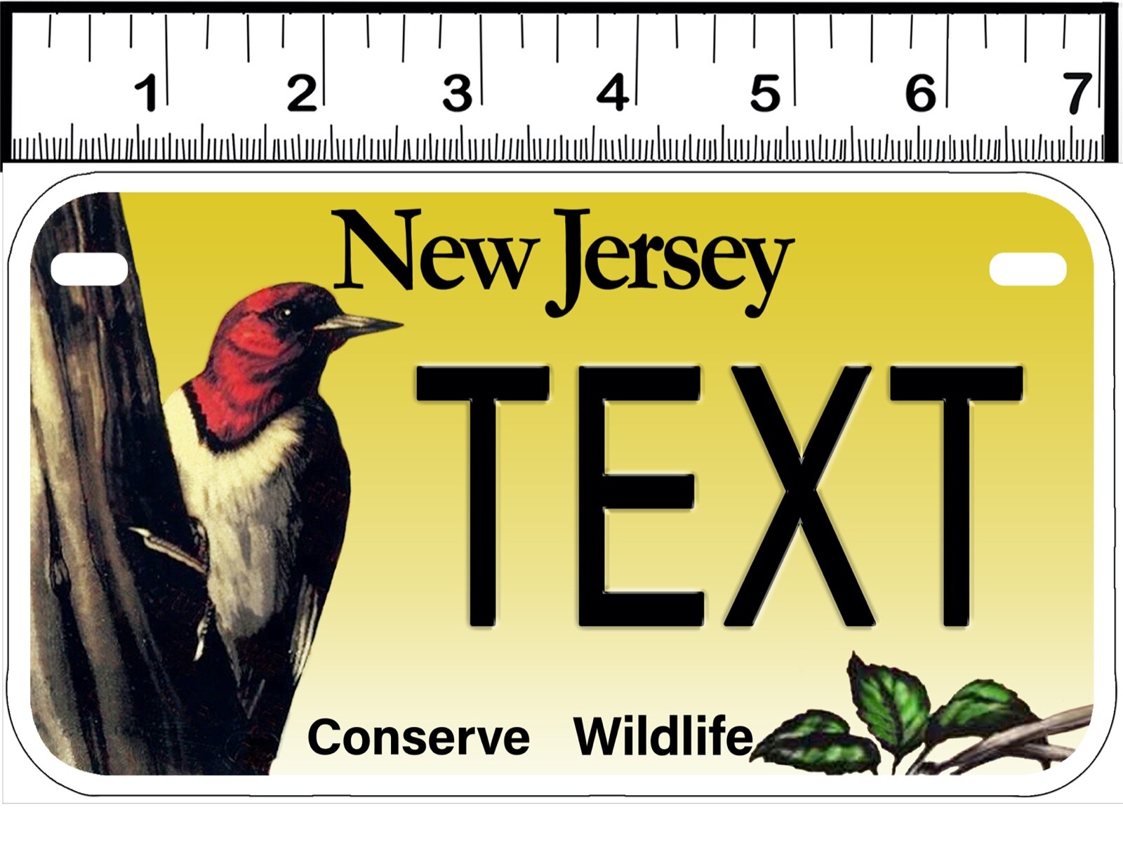 Custom Personalized Motorcycle State License Plate-NJ Conserve Wildlife ...