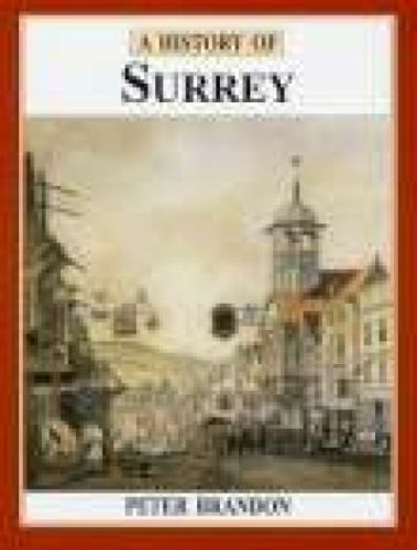 History of Surrey by Peter Brandon (1998, Trade Paperback) for sale ...