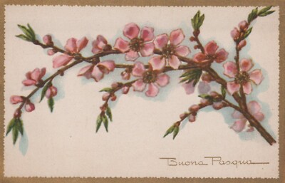 CARTOLINA AUGURALE BUONA PASQUA BAMBINI FELICITA REGALI SPERANZA NON ...