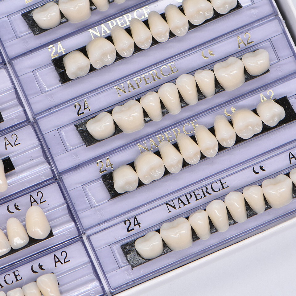 168pc Dental Acrylic Resin Tooth Shade 24# A2 Denture Full Set Teeth ...