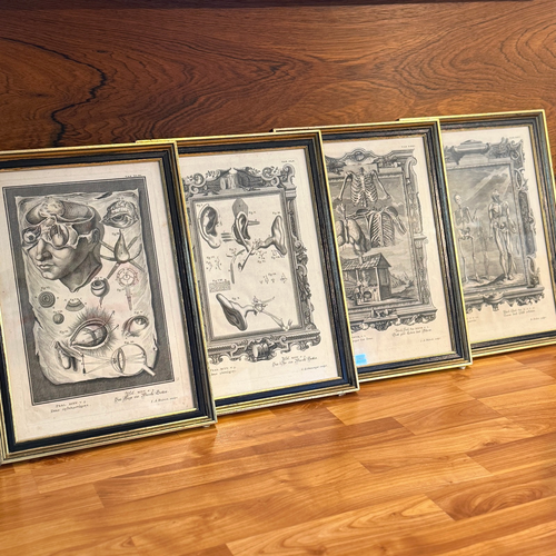 Set of Four Antique German Anatomical Copper Engraving Plate Prints ...