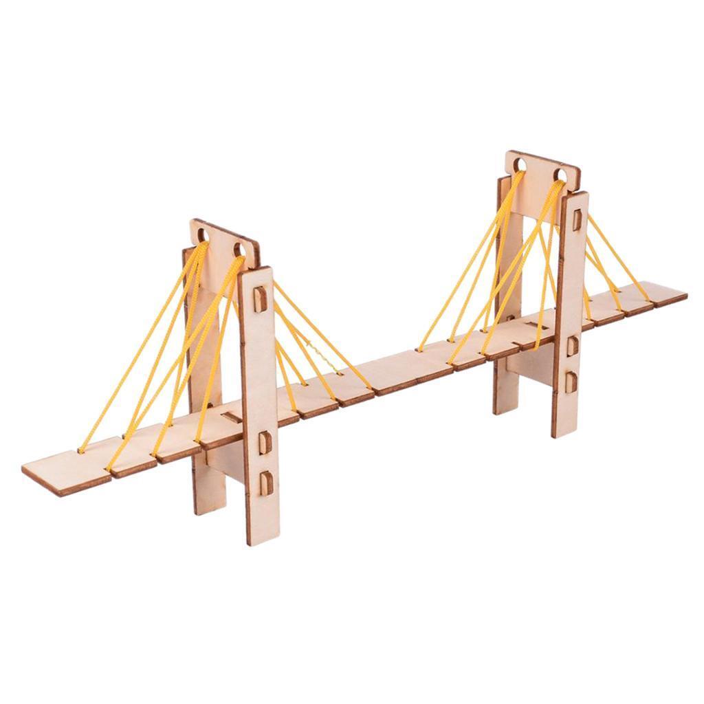 Suspension Bridge Model