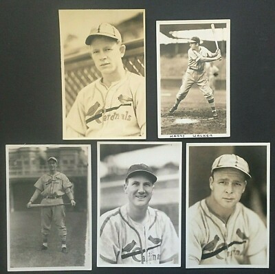 LOT OF 5 St. Louis Cardinals George BurkeType 1 Photos Chick Fullis ...